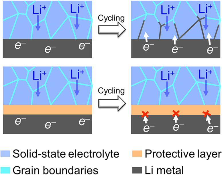 Electrolytes in solid-state lithium metal batteries