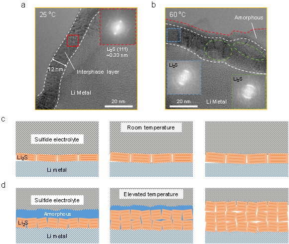 Important progress in all-solid-state lithium metal battery interface