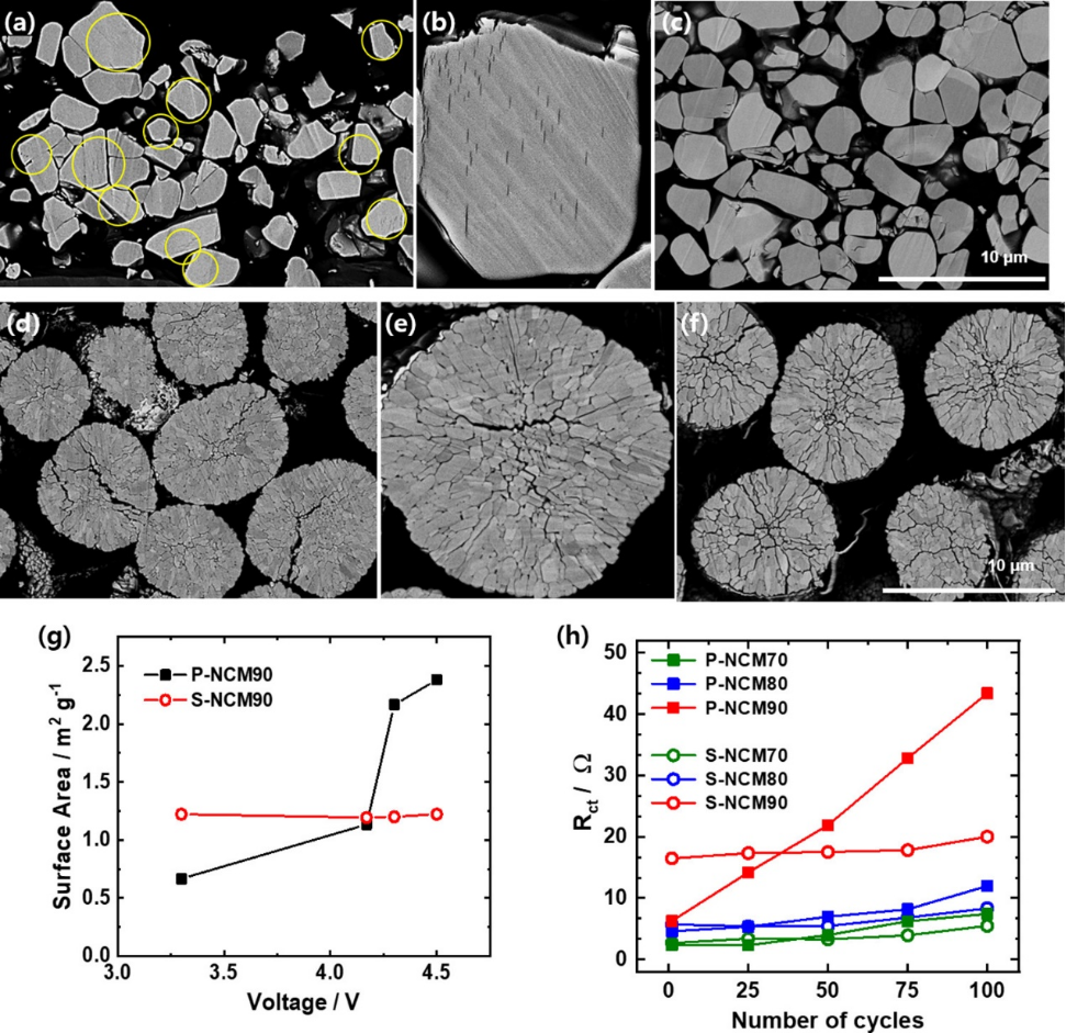Capacity fading mechanism of single crystal Ni-rich NCM